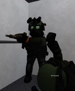 Chaos Insurgency | RBreach Wiki | Fandom