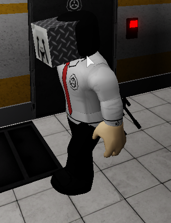 Glitches | RBreach Wiki | Fandom