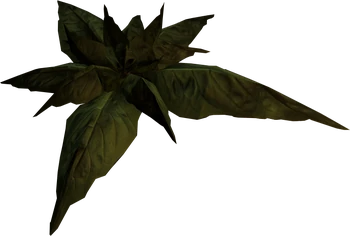 Aerobloom | Derelict Official Wiki | Fandom