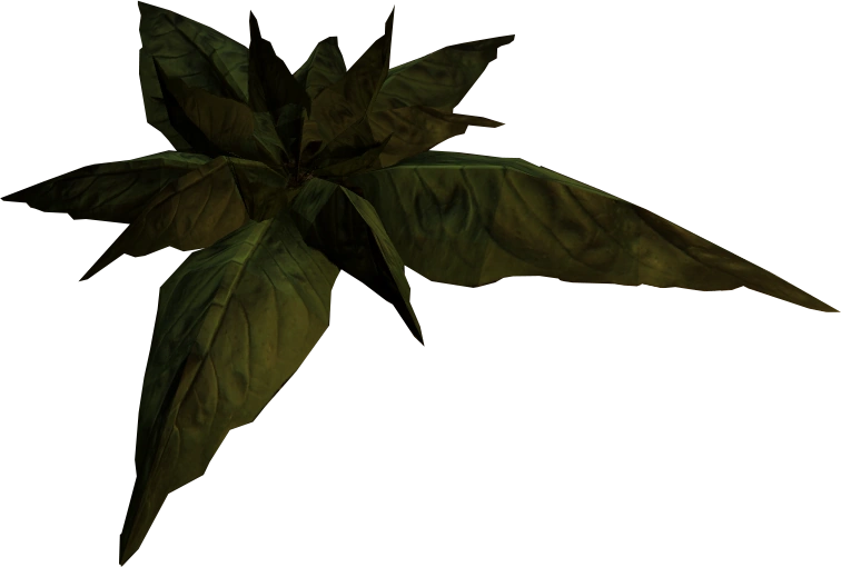 Aerobloom | Derelict Official Wiki | Fandom