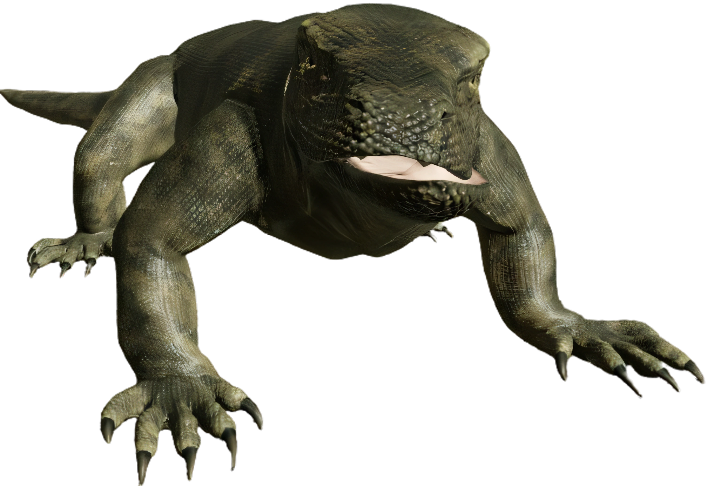 Lizard Tail | Derelict Official Wiki | Fandom