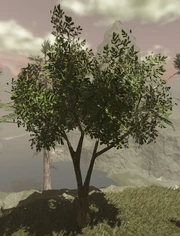 Logging | Derelict Official Wiki | Fandom