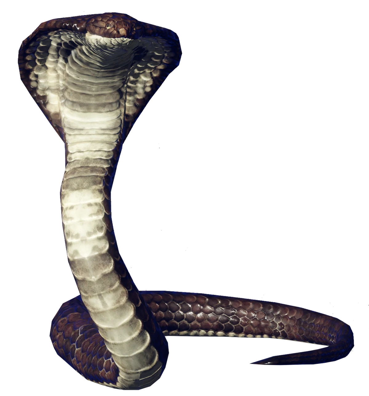 Mausoleum Snake (1) | Derelict Official Wiki | Fandom