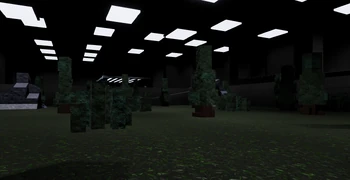 Facilities | Minus Elevation Wiki | Fandom