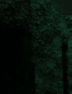 Echolocator | Minus Elevation Wiki | Fandom