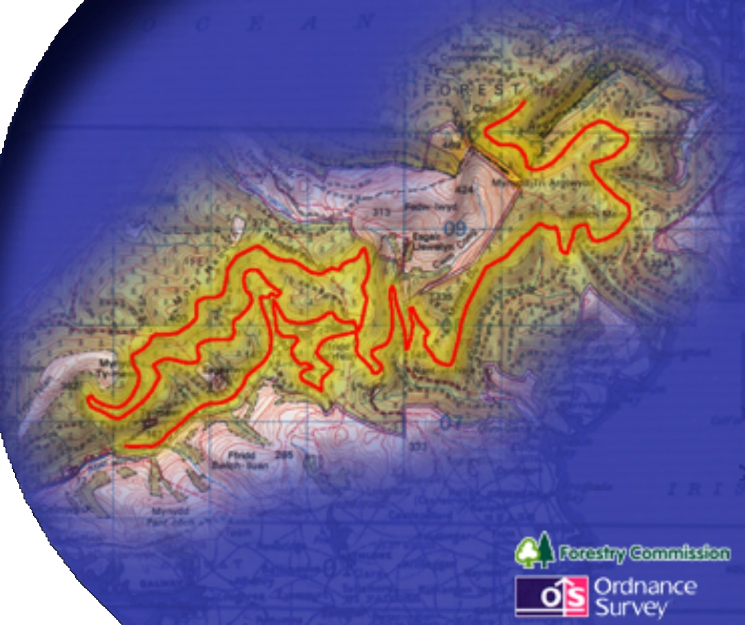 Dyfi | Rally Championship 2000 Wiki | Fandom