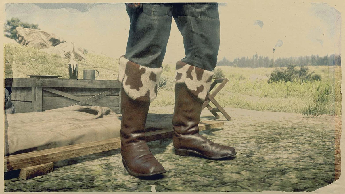 Botas Millard | Red Dead Wiki | Fandom