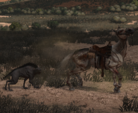 Chupacabras | Red Dead Wiki | Fandom