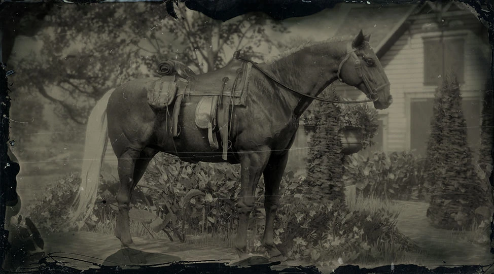 Saddler de Kentucky (RDR2) | Red Dead Wiki | Fandom