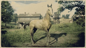 Turcomano (RDR2) | Red Dead Wiki | Fandom