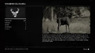 Venado | Red Dead Wiki | Fandom