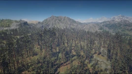 Tall Trees | Red Dead Wiki | Fandom