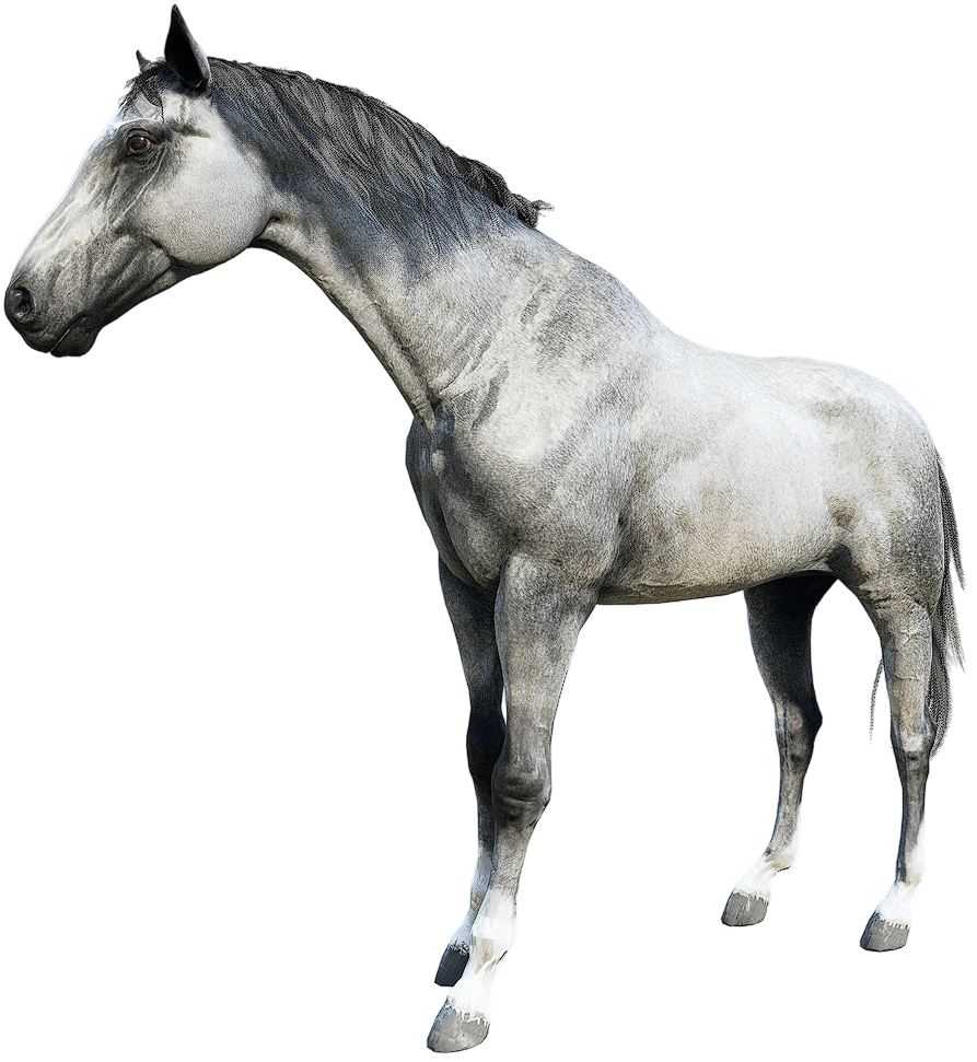 Renaissance | RDR2 AU Wiki | Fandom