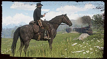 Horses breed | Red Dead Redemption 2 Community Wiki | Fandom