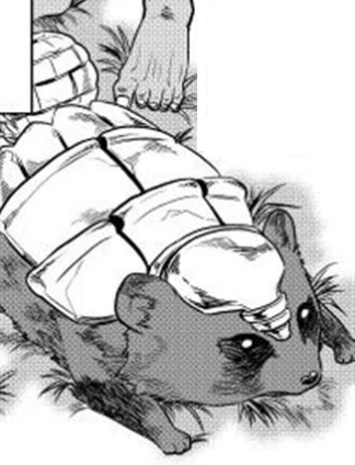 Armored Tanuki | Re:Monster Wiki | Fandom