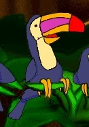 Toucan | Reader Rabbit Wiki | Fandom