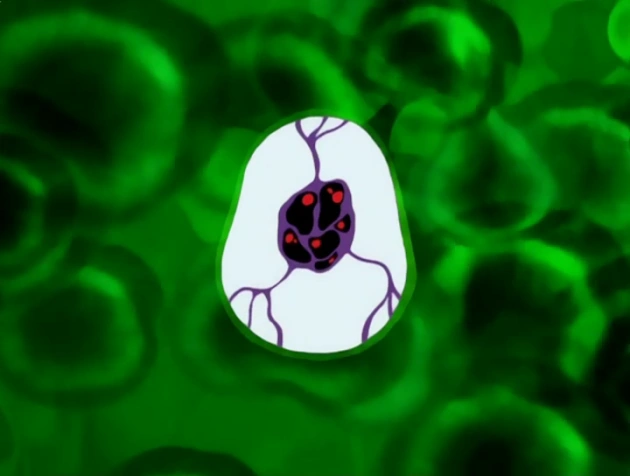 New Breed | Read our A-B-comics! Wiki | Fandom