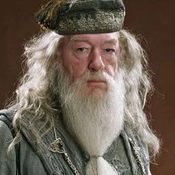 Albus Dumbledore | Real Girls On The Island Wikia | Fandom