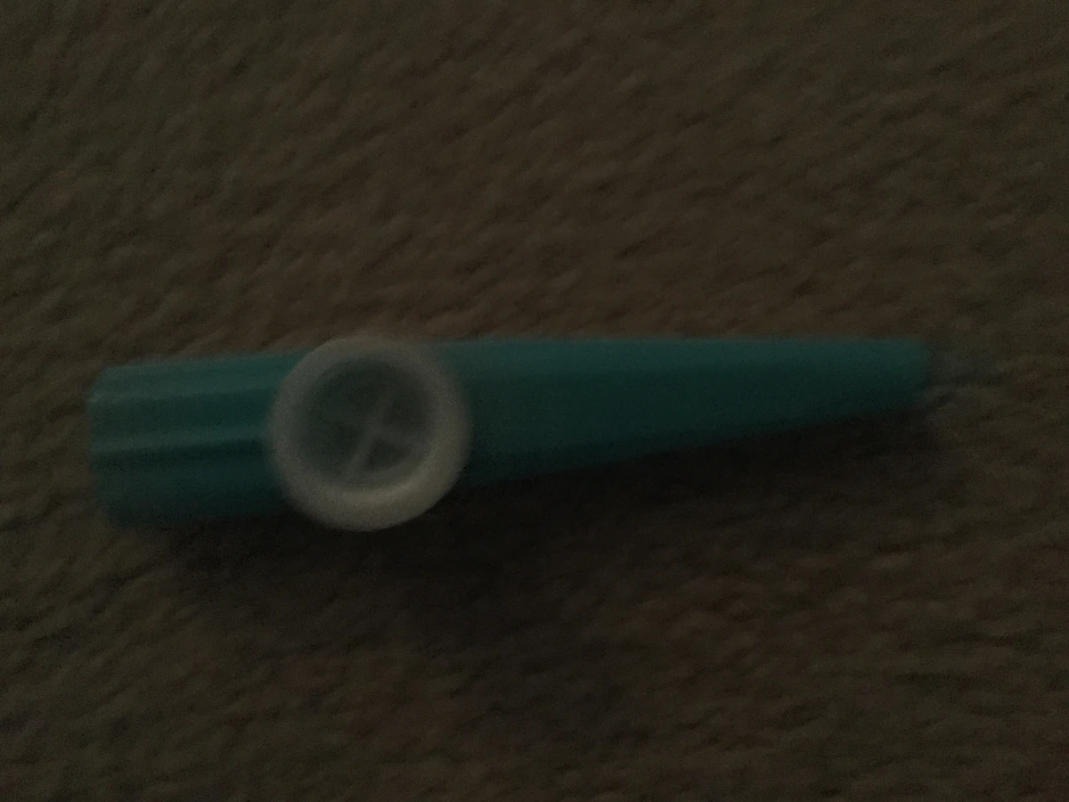 Kazoo | Real life object show Wiki | Fandom