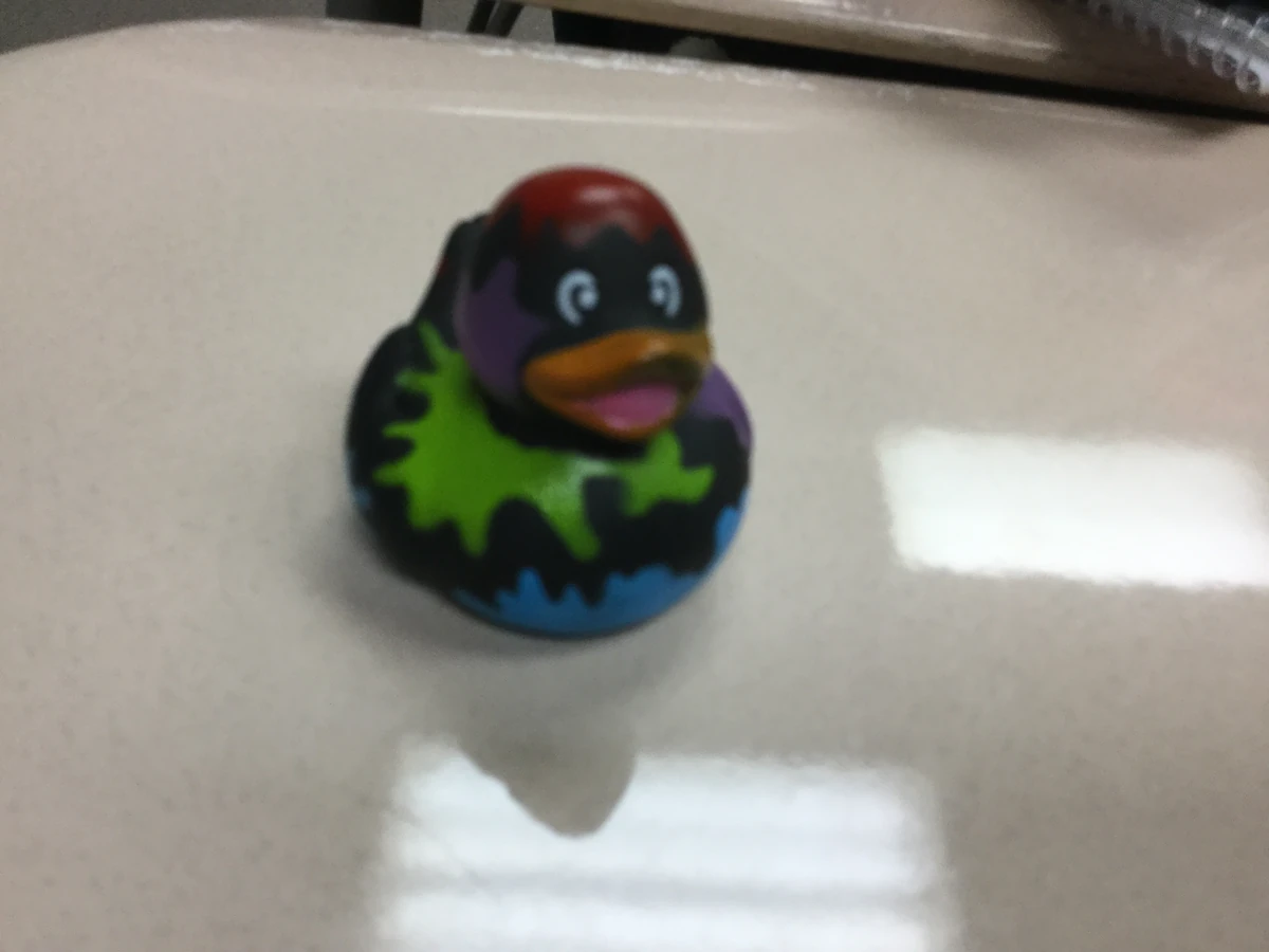 Rainbow Duck | Real life object show Wiki | Fandom