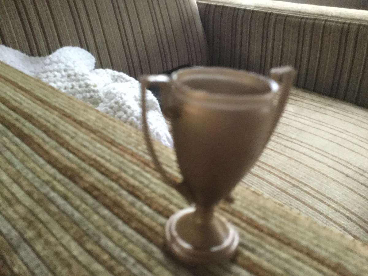 Trophy | Real life object show Wiki | Fandom