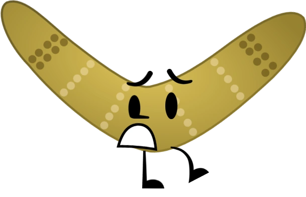 Boomerang | Real Life Objects Wiki | Fandom