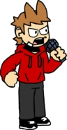 Tord | Literally FNF Wiki | Fandom