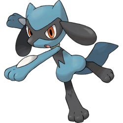 Riolu (Pokémon) | Real World Digimon Adventures Wiki | Fandom