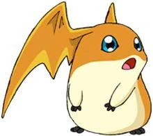 Patamon (TK's) | Real World Digimon Adventures Wiki | Fandom