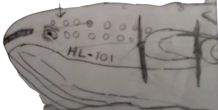 HL-101 | Realiton Wiki | Fandom