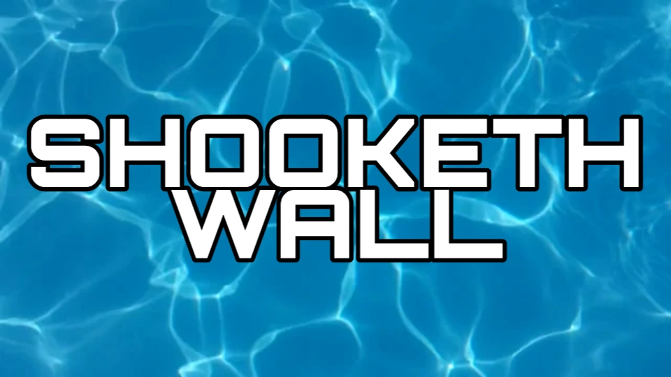 SHOOKETH WALL | Richie's Big Brother | Fandom