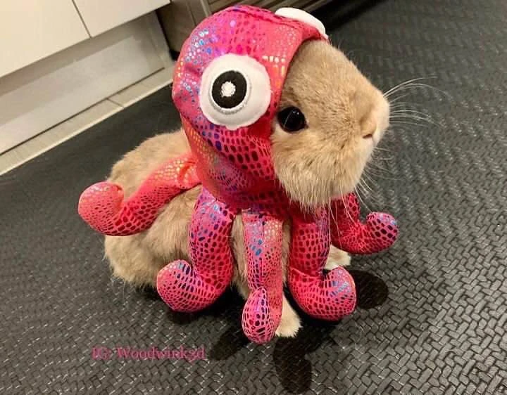 Maddie | Reality Nexus Wiki | Fandom