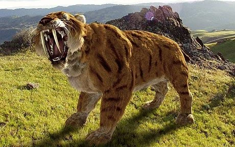 Sabretooth Tigers | Realm of Midgard Wiki | Fandom