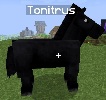 Tonitrus | Realm of Silence Wiki | Fandom