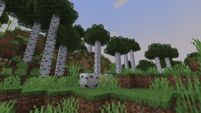 Birch Forest | Origins Wiki | Fandom
