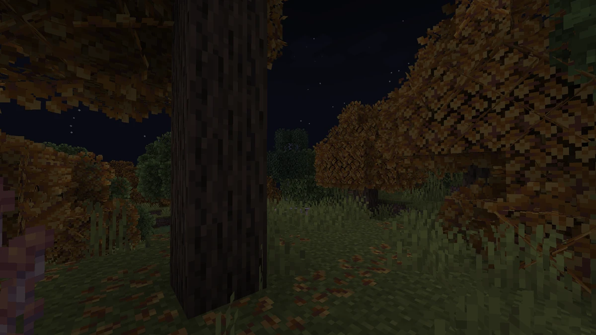 Autumn Forest | Origin Realms Wiki | Fandom