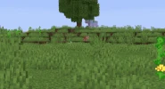Sniffer | Origin Realms Wiki | Fandom
