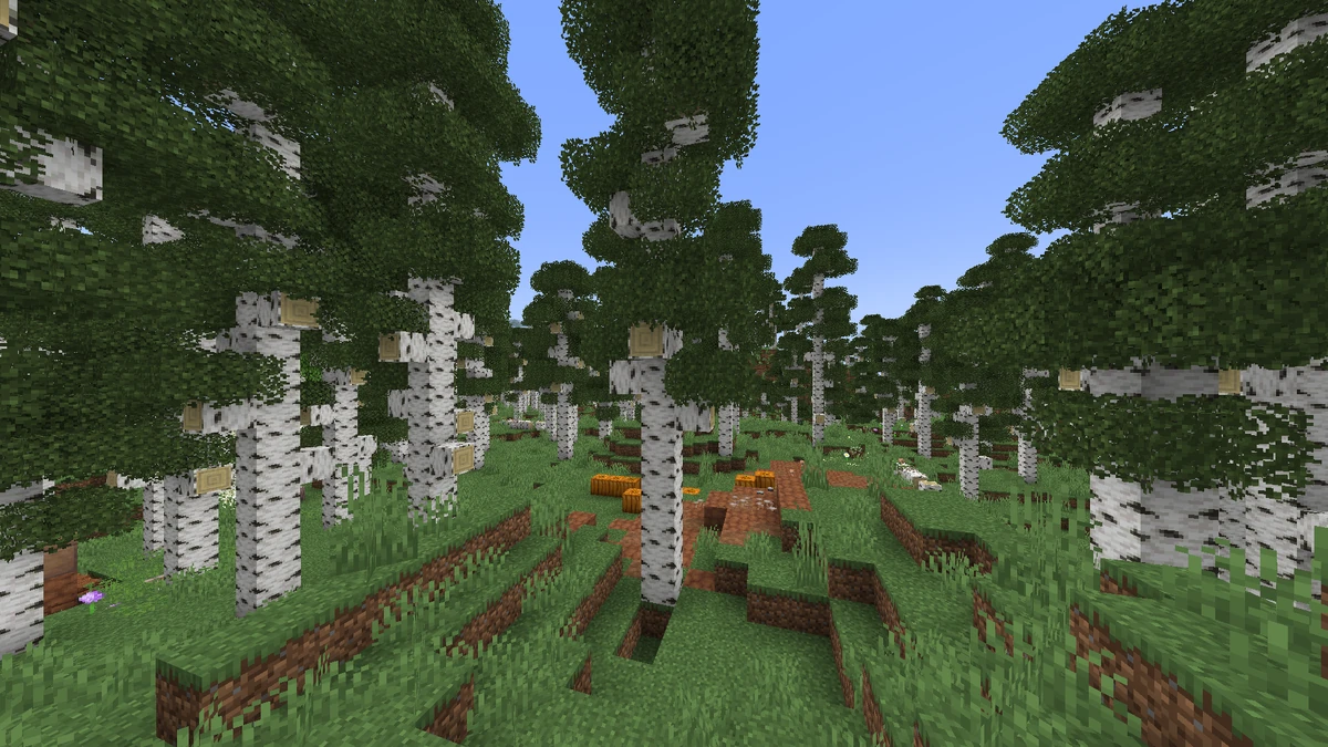 Birch Forest | Origin Realms Wiki | Fandom