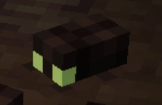 Scarab | Origin Realms Wiki | Fandom