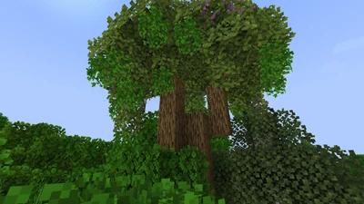Lush Caves | Origin Realms Wiki | Fandom