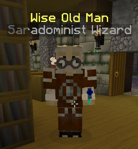 Npcs/Wise Old Man | Minescape Wiki | Fandom