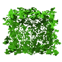 Blocks/Oak leaves | Minescape Wiki | Fandom