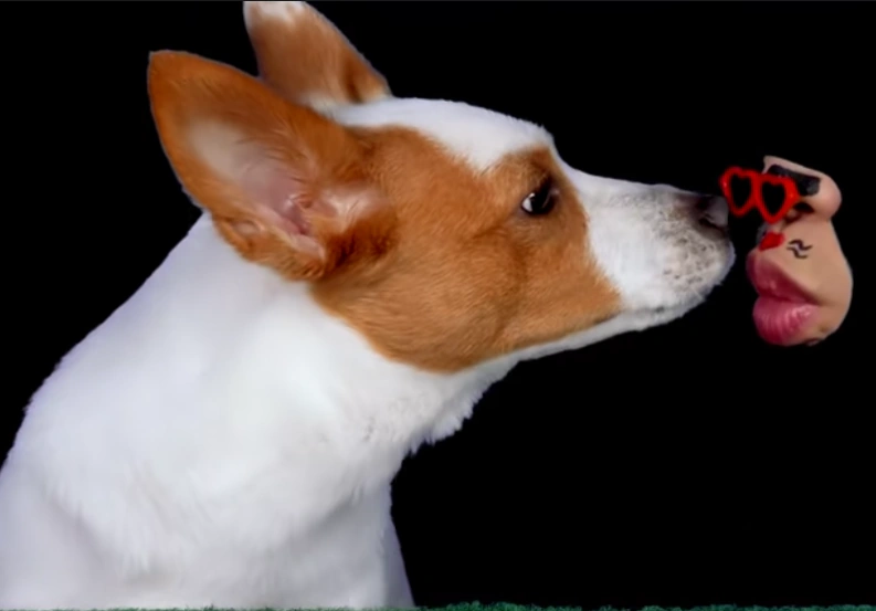 RealBowth | Realmouth Asmr Wiki | Fandom