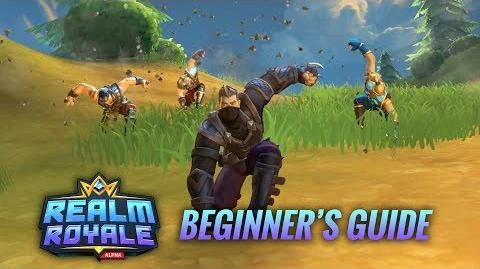 Beginner's Guide | Realm Royale Wiki | Fandom