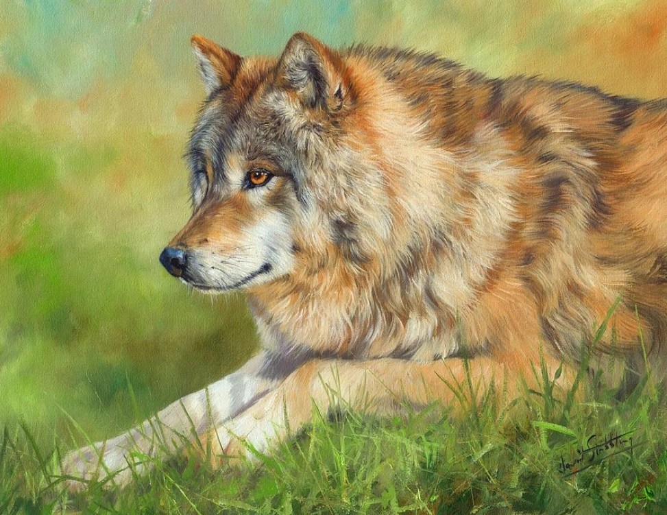 Juniper | Realms of Fate Wiki | Fandom