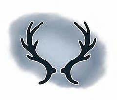 Balinor | Realmscape Wiki | Fandom