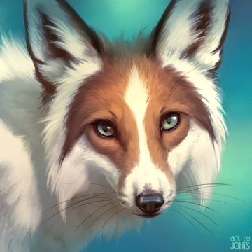 amber fox developments