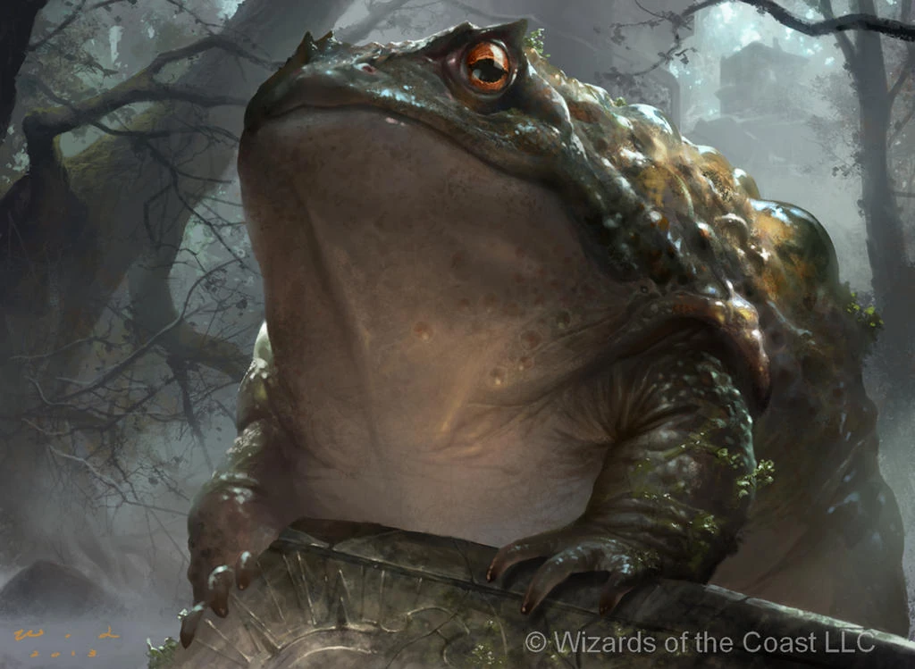 Boulder Toad | RealmsofAhlus Wiki | Fandom