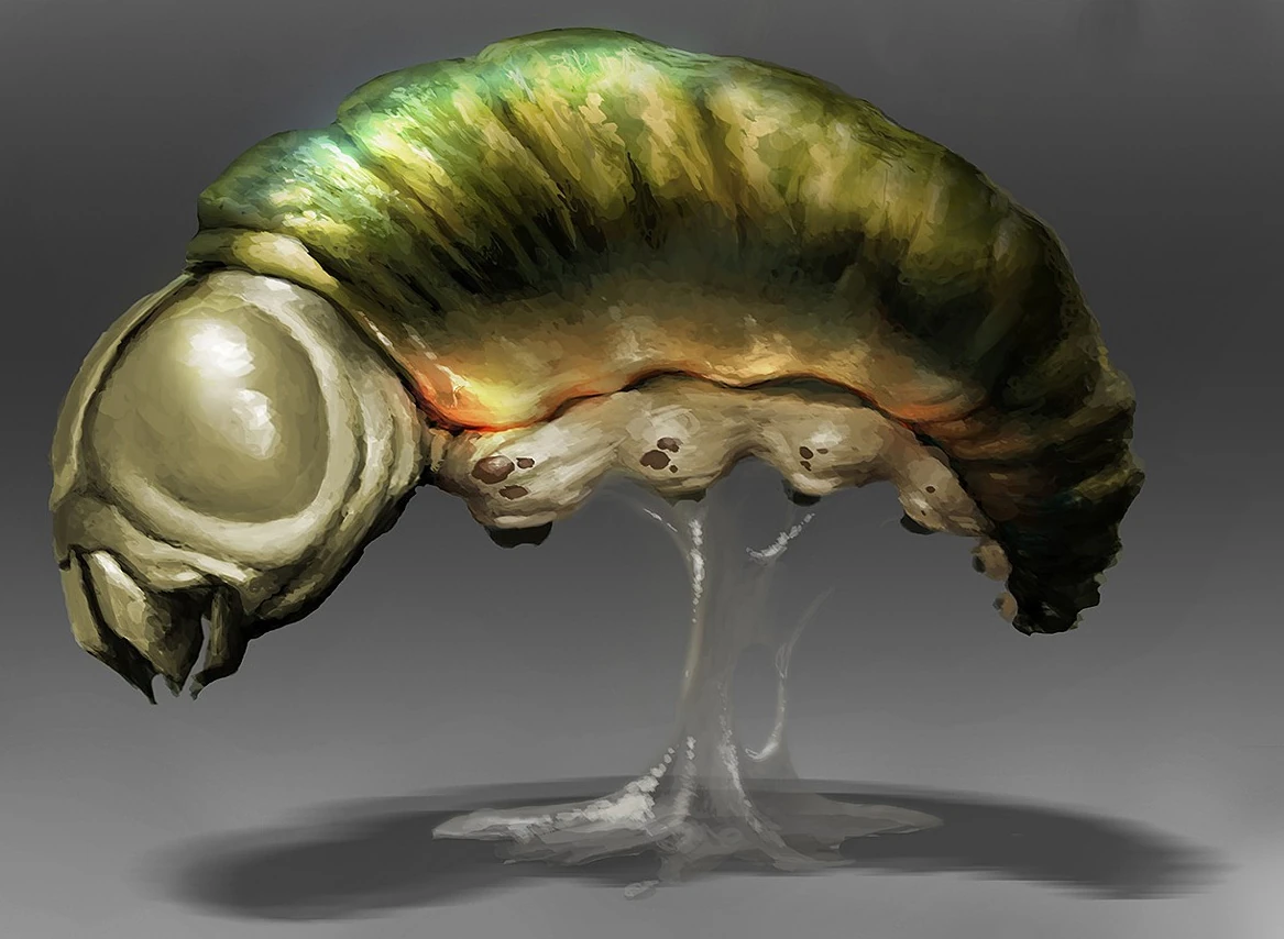 Makori | RealmsofAhlus Wiki | Fandom