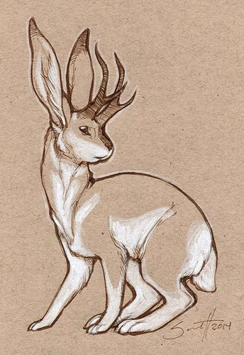 The Horned Rabbit | RealmsofAhlus Wiki | Fandom